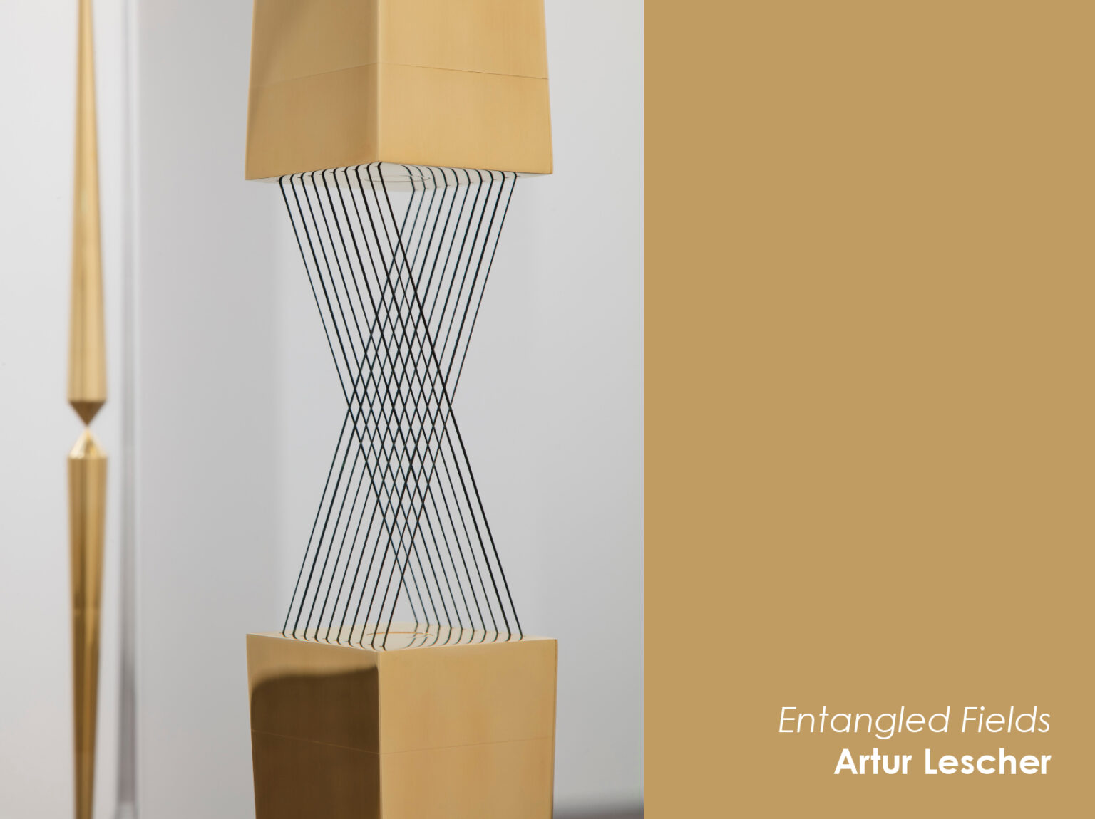Entangled Fields | Artur Lescher – Geometricae